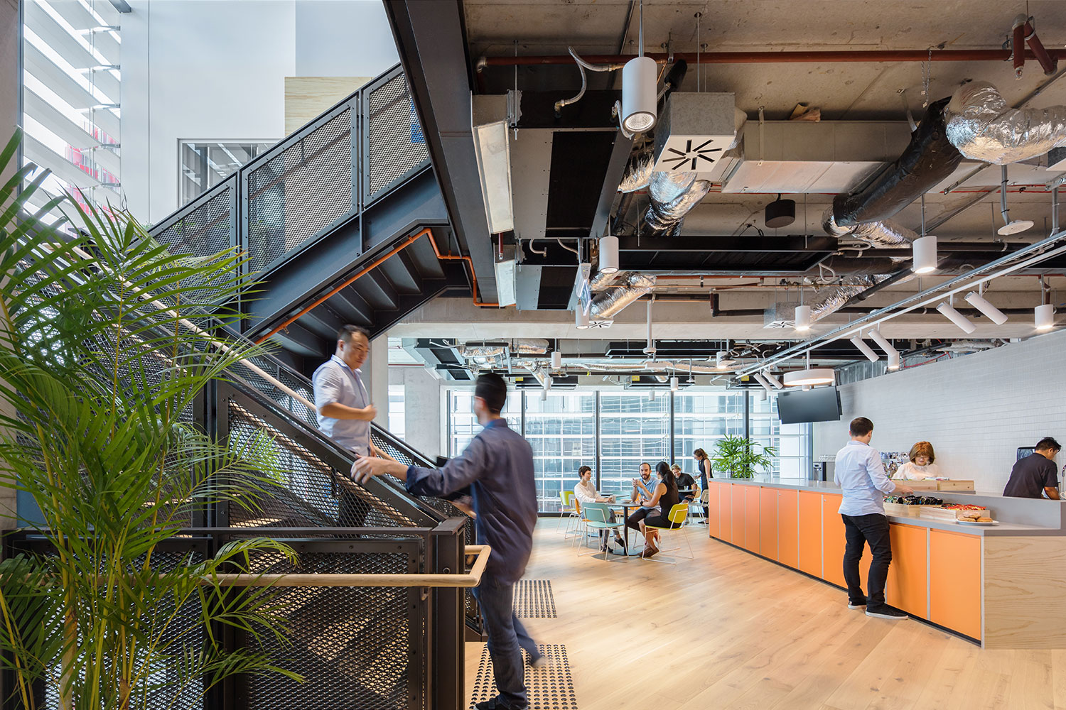 Collaborative Sydney Workspace - Sustainability Awards - Building a ...